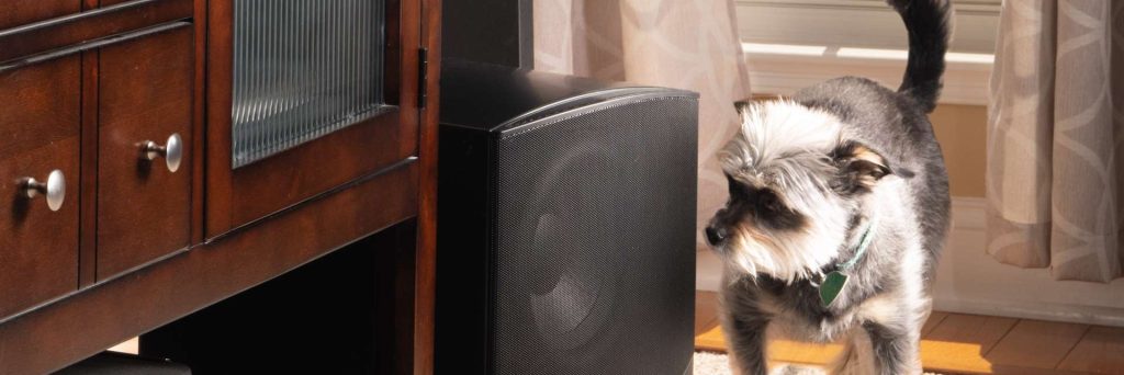 GoldenEar ForceField 30 & ForceField 40 - Fidelity Magazine