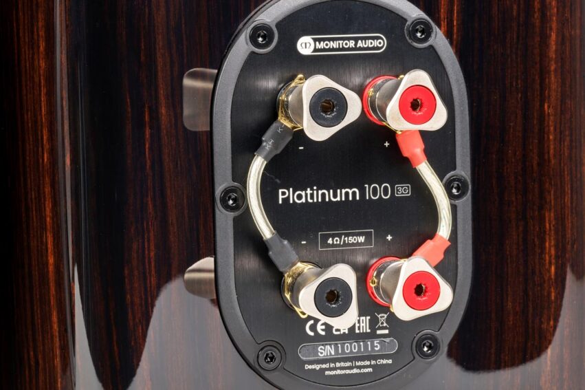 Bi-Wiring and Bi-Amping - Fidelity Magazine